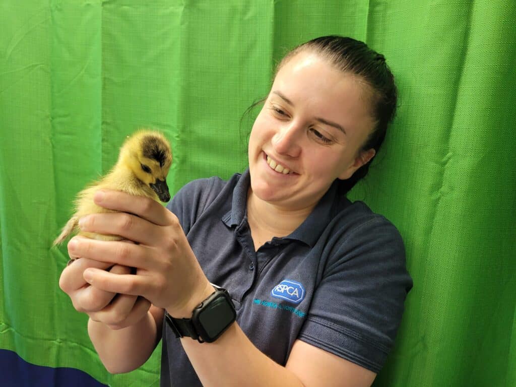 Our Staff - RSPCA Norwich