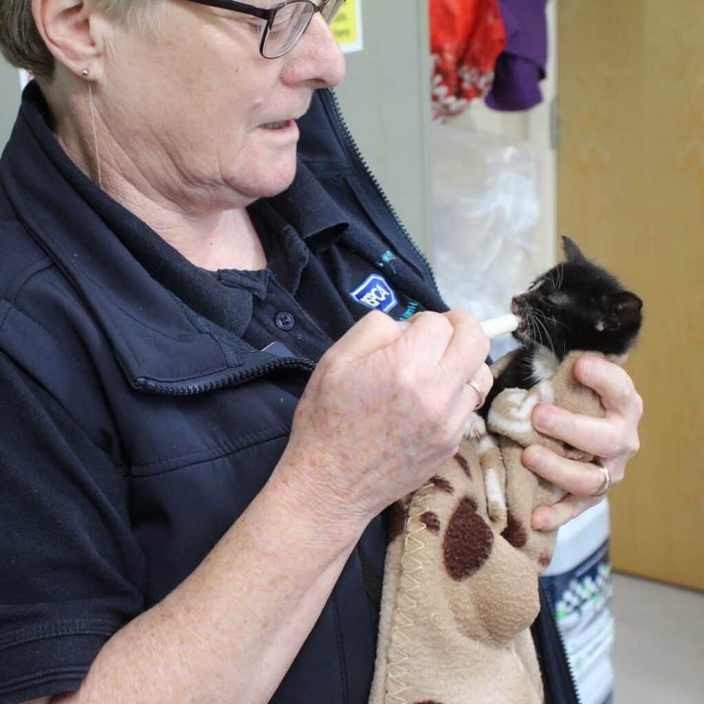 Your local RSPCA - RSPCA Norwich