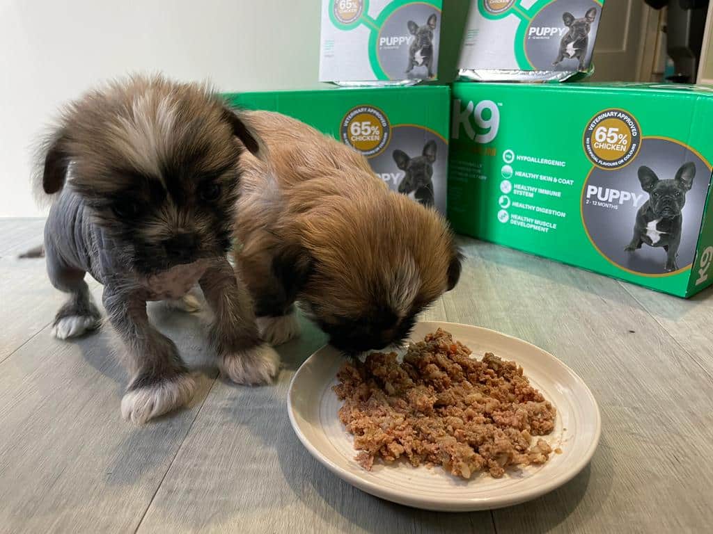 Pet Food Banks - RSPCA Norwich