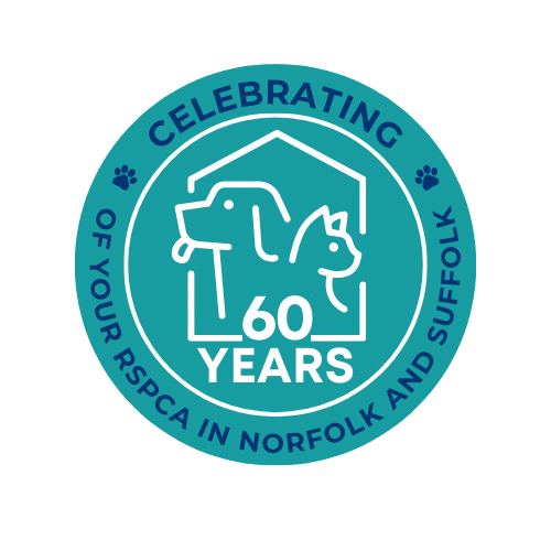 RSPCA Norwich 60th Anniversary Celebration Event