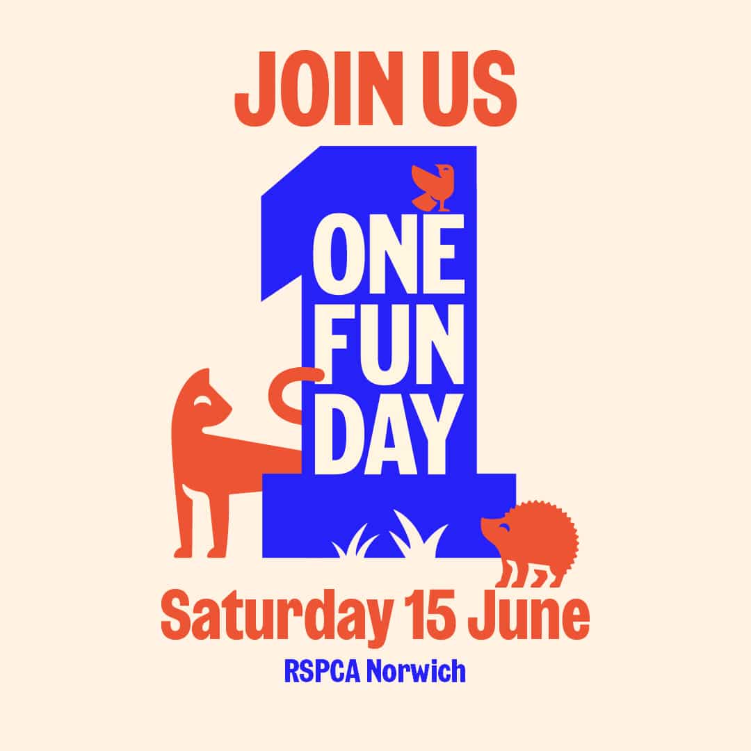 One Fun Day 2024 - RSPCA Norwich
