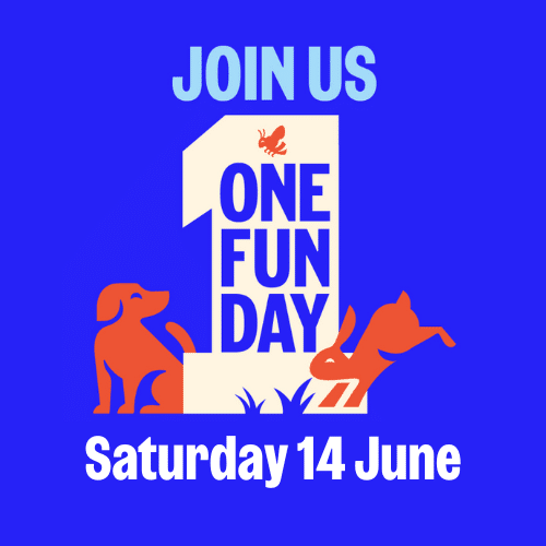 One Fun Day - RSPCA Norwich